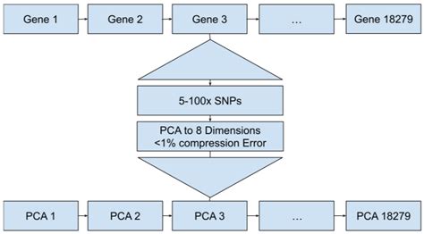[论文审查] generating synthetic genotypes using diffusion models