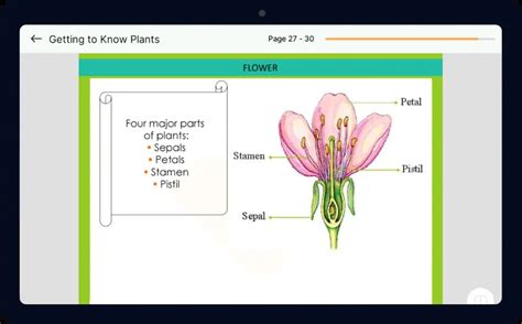 Tamil Nadu Board Syllabus Books And Content 2024 25