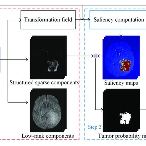 The Illustration Of The Multi Atlas Segmentation Framework
