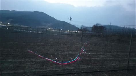 유해조수퇴치기 레이저가 이쯤은 되야지요 거창 김병철 마이스터모든유해조수퇴치기 멧돼지 조류퇴치기 조류 고라니 새 꽃눈 유해조수퇴치기 레이저 움직이는유해조수