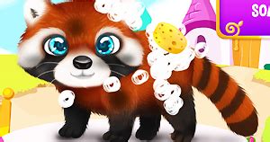 Juegos 10 Juegos De Mapaches Gratis