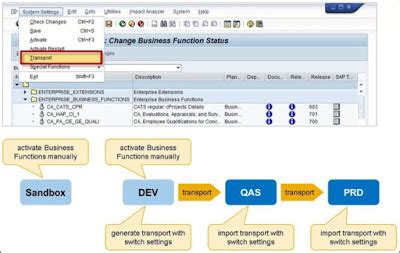 More About SAP BASIS August