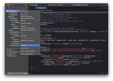 Framework Development Skip