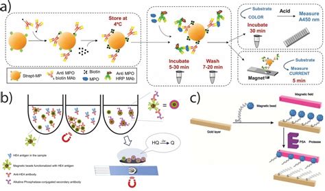 Magnetic Beads As Versatile Tools For Electrochemical Biosensing Platforms In Point‐of‐care