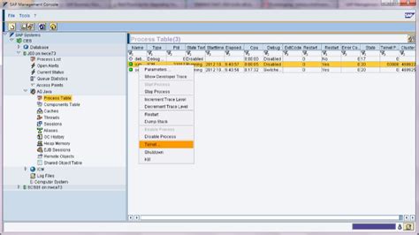 Undeploy A Java Application 1 Of 2 Sap Community