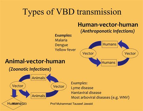 Vector Borne Diseases Pptx