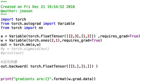 Pytorch Backward