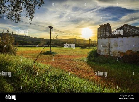 Stork Nest On An Electric Pole And Abandoned House At Sunset Beautiful