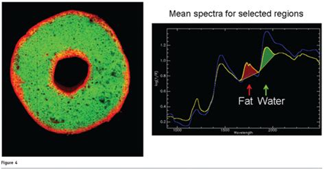 Mapping Food Composition Using Nir Hyperspectral Imaging New Food