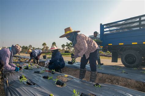 ม นเรศวร ร่วมสืบสานประเพณีลอยกระทง ประจำปี 2565