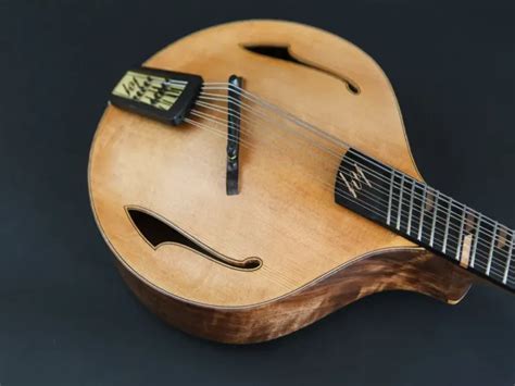 Top 15 Best 10 String Mandolin Reviews And Comparison 2023