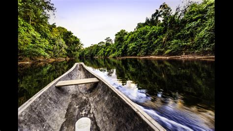 Красотата на Амазонската джунгла Nova Bg