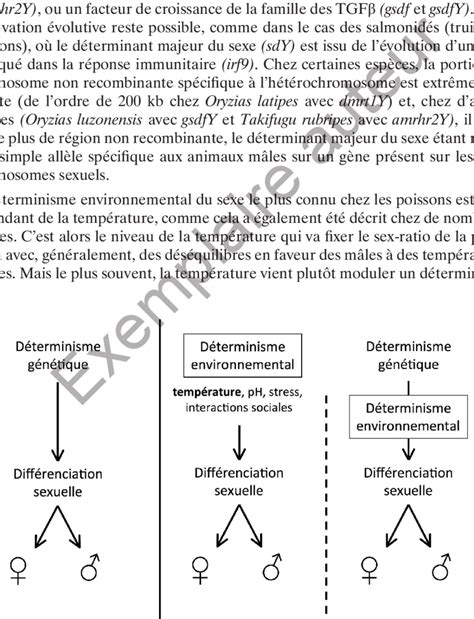 4 Déterminismes du sexe chez les poissons Download Scientific Diagram