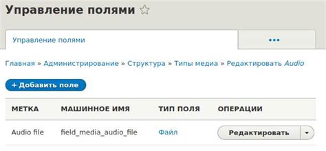 Типы медиа в системе Drupal