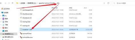 解决idea tomcat启动时 出现java lang unsatisfiedlinkerror bin tcnative 1 dll