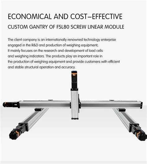 Case Study FUYU Linear Gantry System Customized Stroke Actuator Dustproof Rail Guide Fuyu