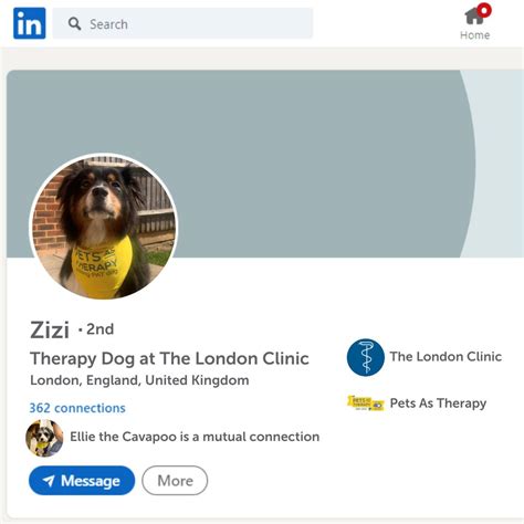 Rachel Caesar Posted On Linkedin