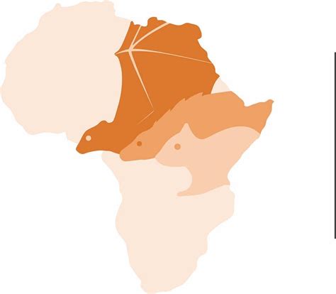 The Giant Leaf Nosed Bat Gets Its Name From Its Elaborate Leaf Like