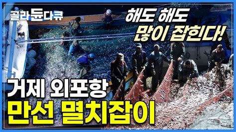 출항 한 번에 1톤 그물 묵직하게 끝도 없이 잡히는 씨알 굵은 횟감용 멸치 거제 외포항 만선 멸치잡이 멸치 요리 만찬 고향민국 골라듄다큐 Youtube