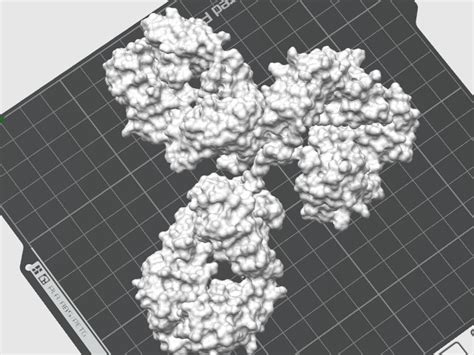 Space Model Of Antibody From Crystal Structure By User2815673849
