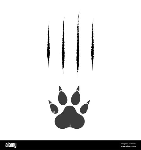 Cat Scratch Black Bloody Animal Claw Mark Isolated On White Background