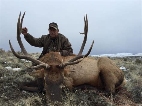 Page 33 Nevada Elk Hunting