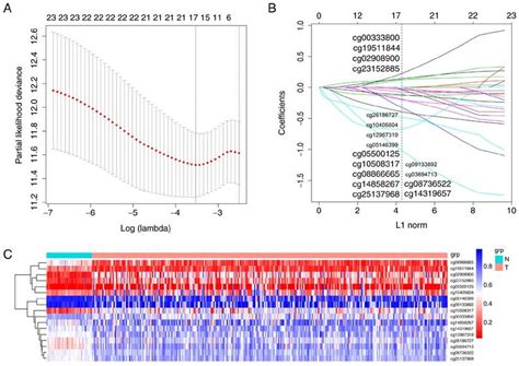 Construction Of The Methylation Based Classifier A Selection Of Cpg Download Scientific