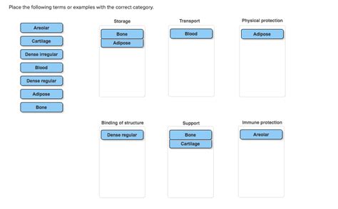 Solved Matching The Types Of Connective Tissue With Their Chegg Com