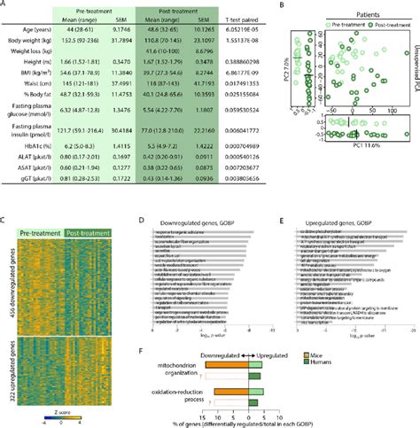 Adipose Tissue Transcriptomics After Weight Loss Interventions In