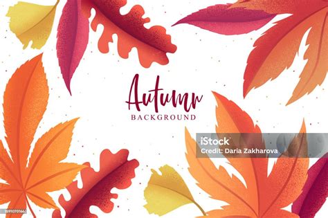 하얀 배경에 분리된 화려한 단풍이 있는 벡터 식물 배경 인쇄 직물 초대장 브로셔 카드 표지 벽지를 위한 단풍 그림 0명에 대한 스톡 벡터 아트 및 기타 이미지 Istock