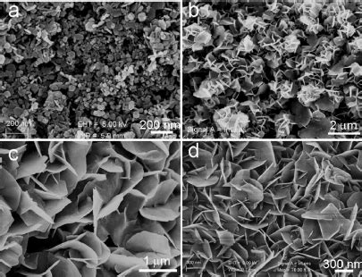 SEM Images Of A The Precursors And SEM Images Of The Samples Prepared Download Scientific