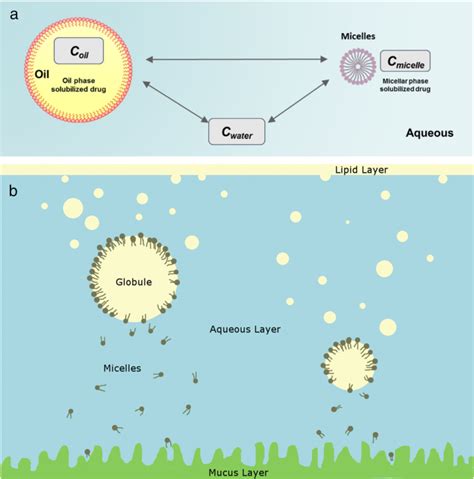 用于开发和评估通用环孢菌素眼用乳剂的监管提交的产品质量研究the Aaps Journal X Mol