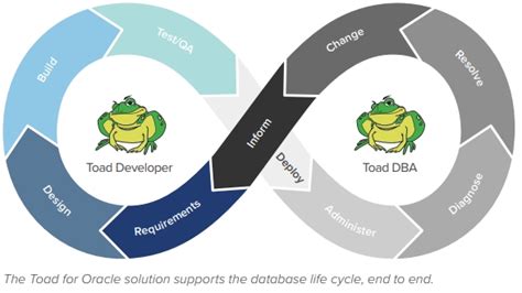 M Power 倍力資訊 Toad For Oracle 資料庫開發管理工具