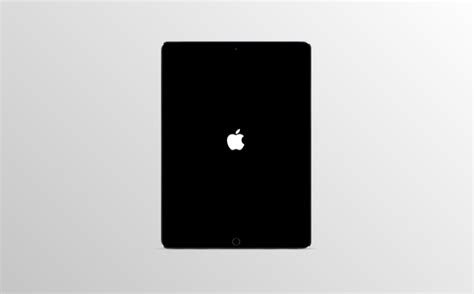 How To Force Restart 10 2 IPad IPad Mini IPad Air With Home Buttons