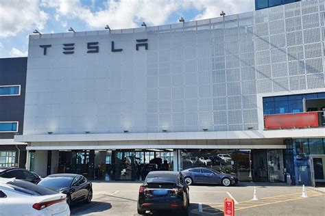 ‘한파에 뒷유리 와장창 중국산 테슬라 황당 결함 결국 차주들 폭발 네이트뷰