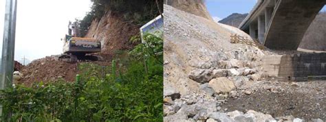 Cutting Trees During Construction Download Scientific Diagram