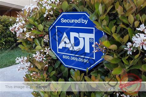 What Is The Adt Alarm Bypass The Smart Home Secrets