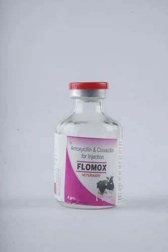 Veterinary Ampicillin Cloxacillin Injection 4 Gram 250 Mg At Rs 35