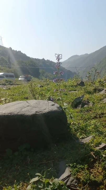 პირიმზის სალოცავისკენ მიმავალ გზაზე ️ ჩოხი გუდამაყარი პირიმზე ხატობა საქართველო 🇬🇪 Youtube