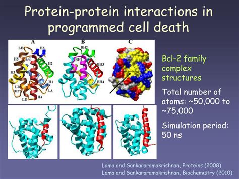 Ppt From Sequence Analysis To Simulations Applications Of Hpc In Modern Biology Powerpoint
