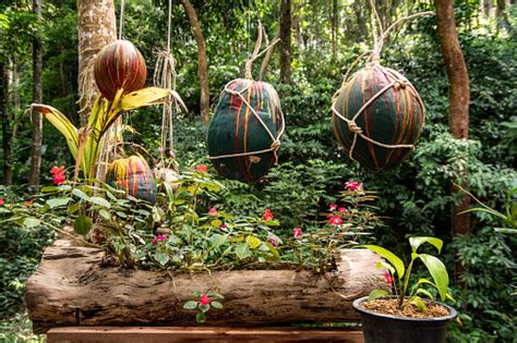 열대 지방의 카페에서 디자인하십시오 인테리어 디자인의 코코넛 여름 카페의 열대 식물 여름 녹색 배경 0명에 대한 스톡 사진 및 기타 이미지 Istock