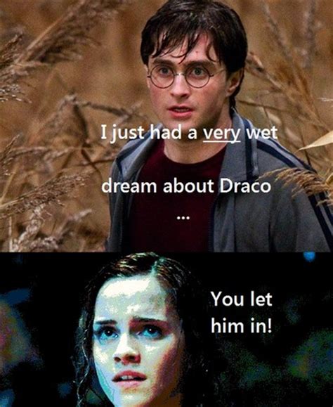 Harry Draco Harry And Draco Photo Fanpop