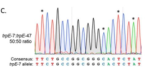 Figure 1 From Culture Independent Multilocus Sequence Typing Of Pseudomonas Aeruginosa For Cross