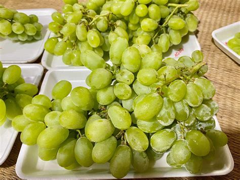 Nho Ruby Xanh Loại Nho Đặc Biệt Đang Gây Sốt Trên Thị Trường Việt Nam