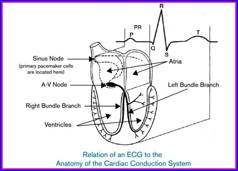 Electronic Equipment Repair Centre Monophasic And Biphasic Defibrillation