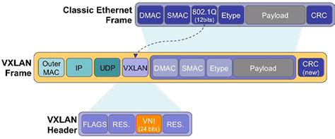 1 What Is Vxlan Evpn Rayka Are You A Network Engineer