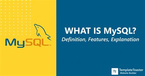 What Is MySQL Definition Features Explanation TemplateToaster Blog