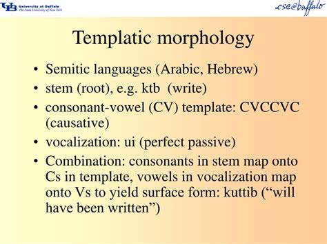 Ppt Brief Introduction To Morphology Powerpoint Presentation Free Download Id 6253333