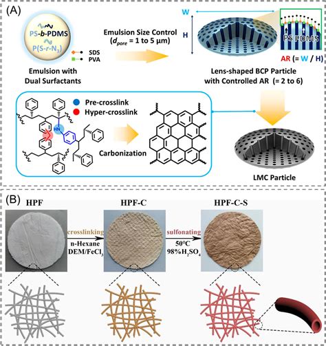 Rational Design Of Hyper‐crosslinked Polymers For Biomedical Applications Liao 2024