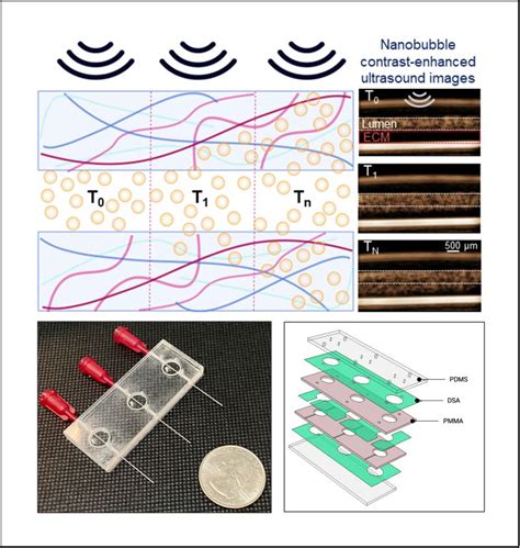 William W On Linkedin Engineering Microfluidics Nanotechnology Medicine